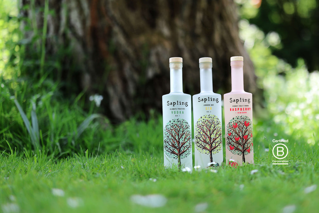 Sapling Spirits