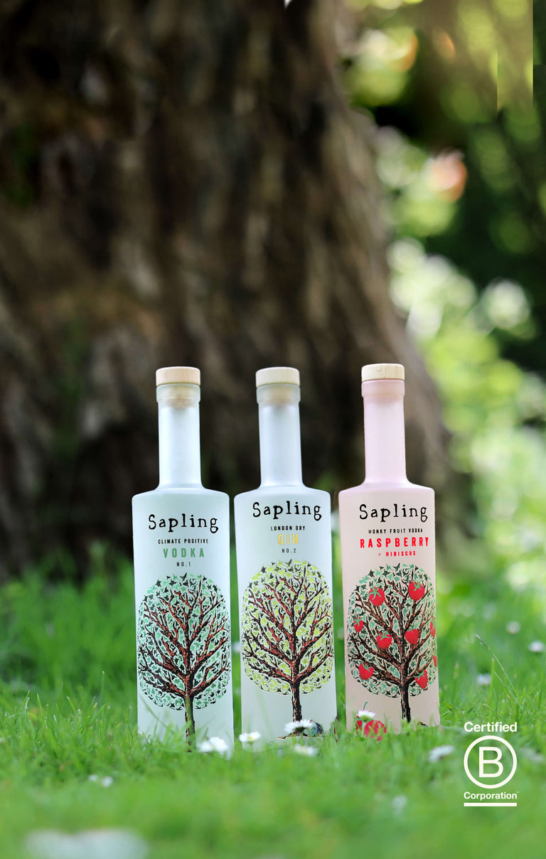 saplingspirits.com