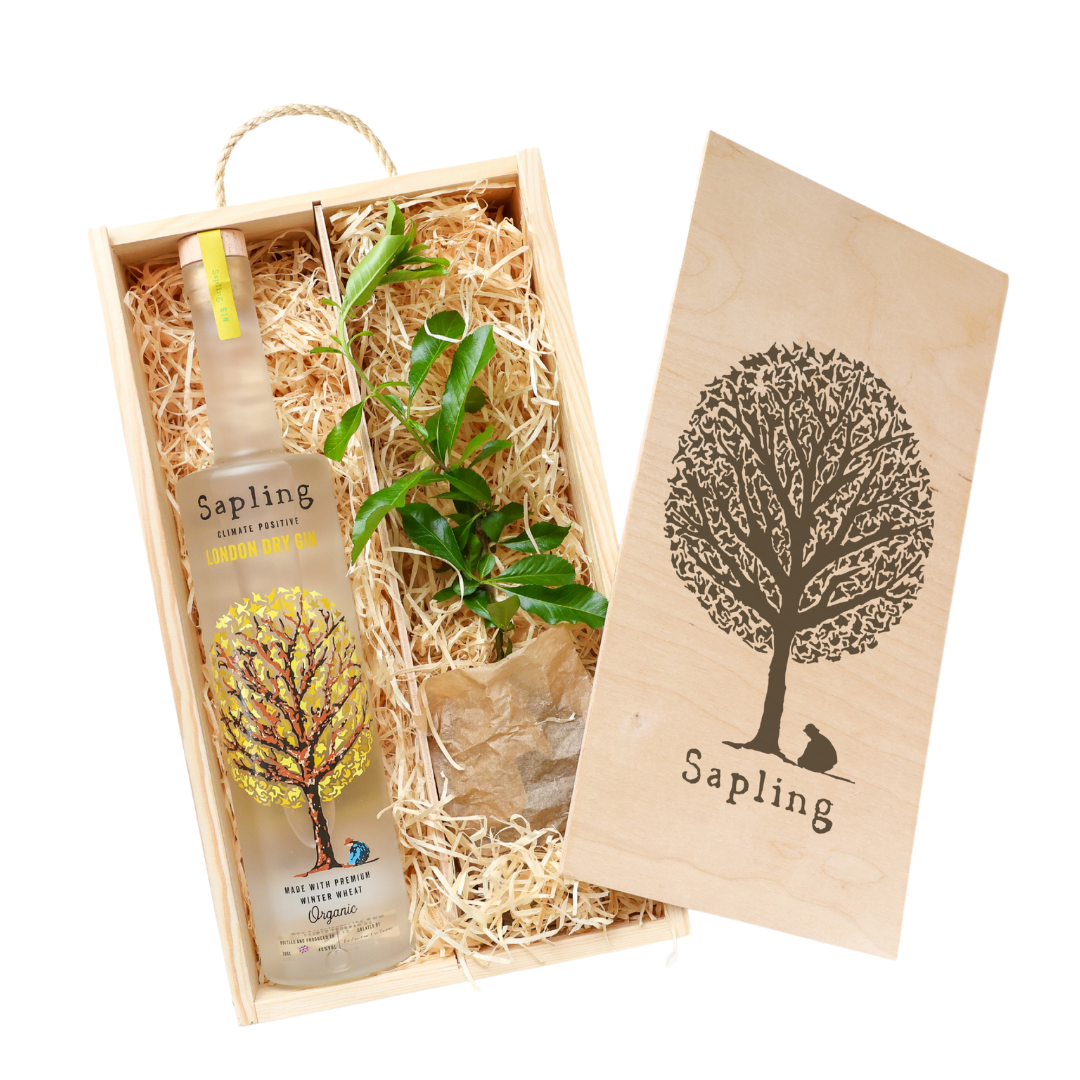 The G & Tree Gift box